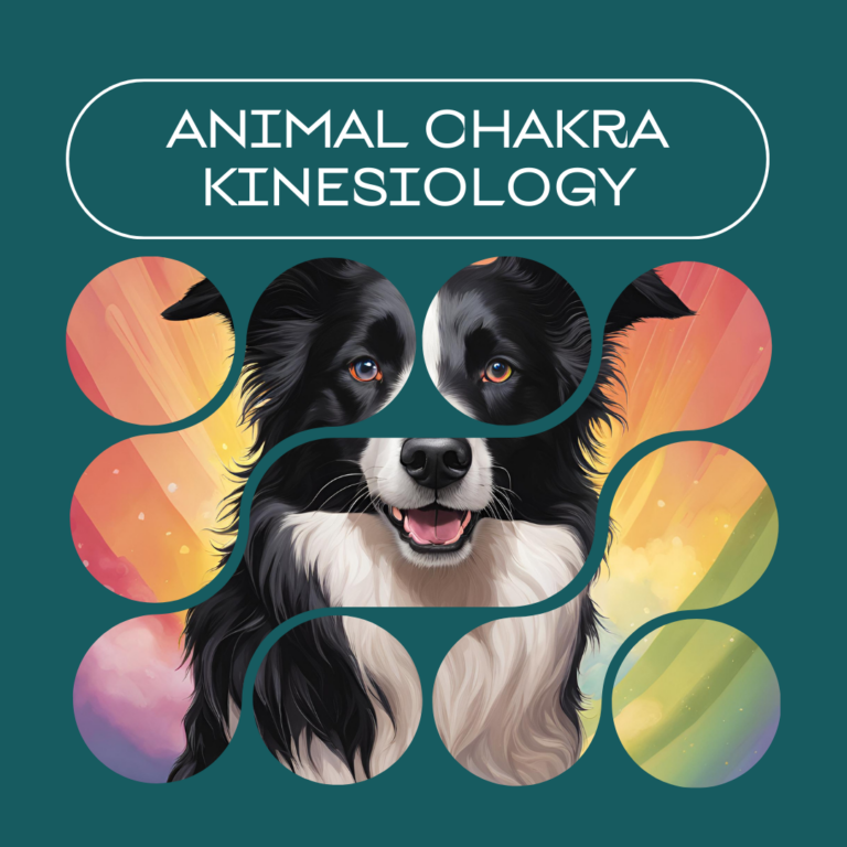 The Brachial Chakra: Understanding the Unique Role of the Brachial ...